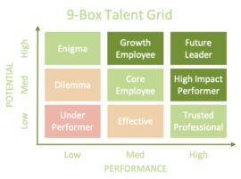 The Nine Box Talent Grid: A Simple Summary - PeopleShift