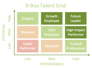 The Nine Box Talent Grid: A Simple Summary - PeopleShift