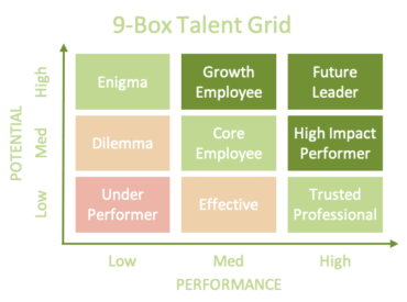 The Nine Box Talent Grid: A Simple Summary - PeopleShift